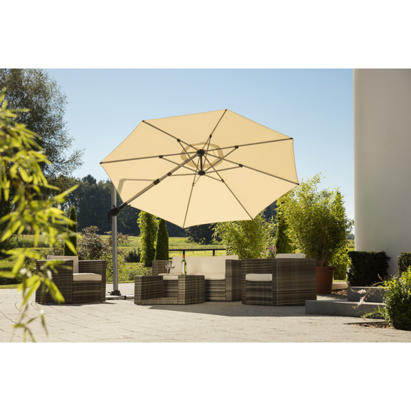 Schneider Schirme Outlet