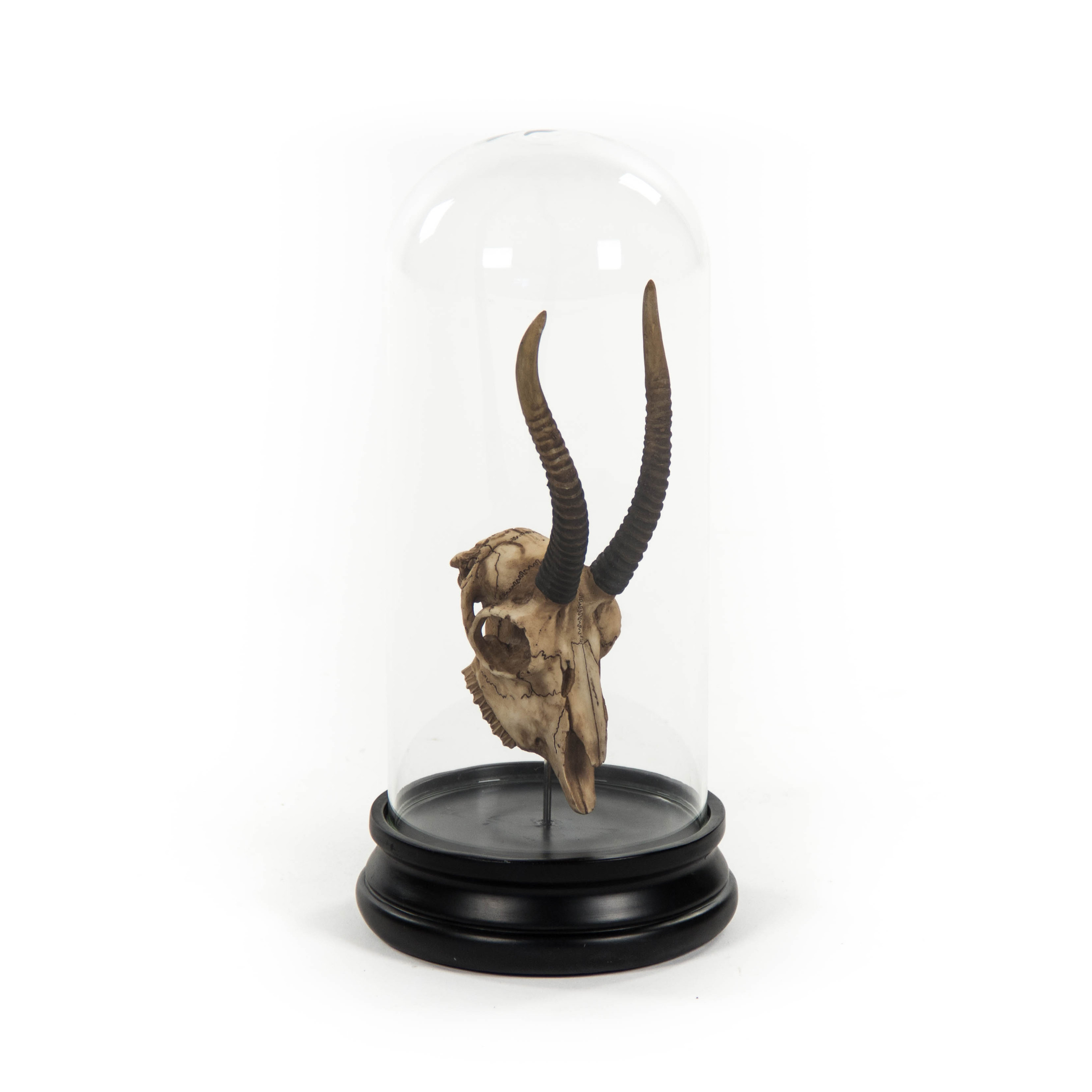 Zentique Goat Skull with Bel Glass Sculpture | Wayfair