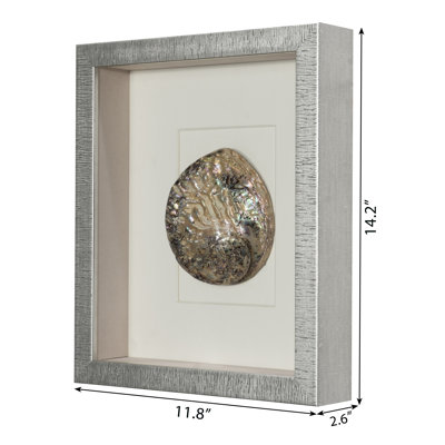 Rosecliff Heights 2 Piece Abalone & Pearl Shell Shadow Box Wall Décor ...