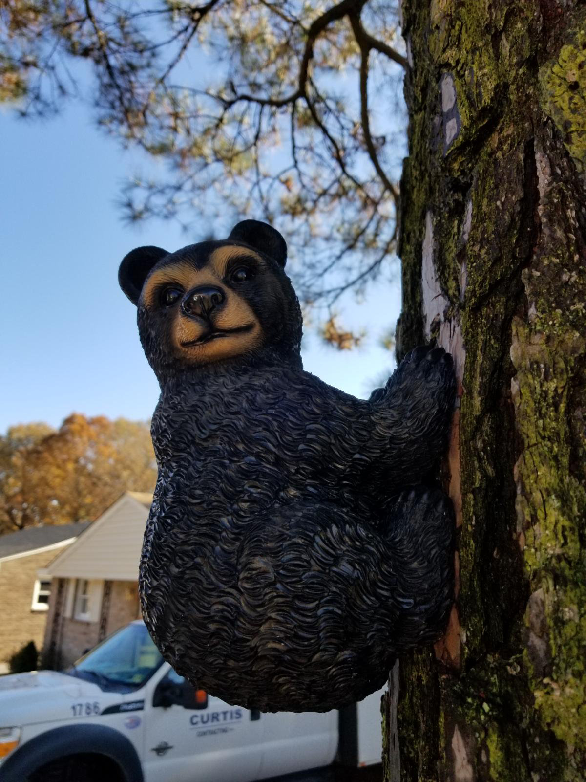 Millwood Pines Bear Tree Décor Outdoor Garden Statue By Millwood Pines ...