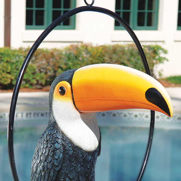 Design Toscano Touco Tropical Toucan Statue & Reviews | Wayfair