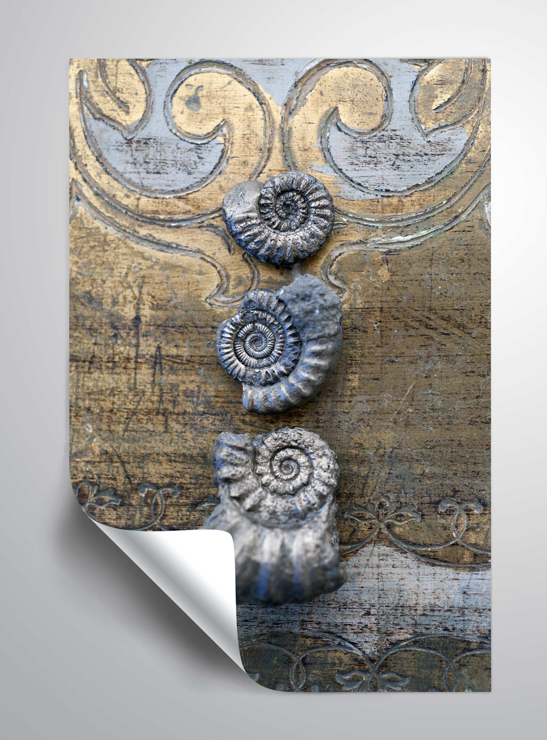 World Menagerie Metal Fossils Removable Wall Decal | Wayfair