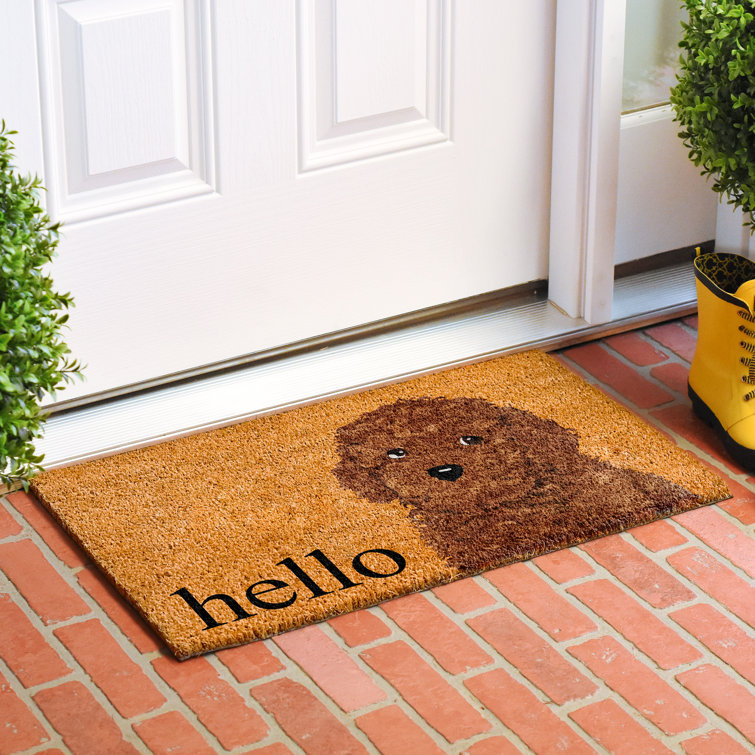 Lark Manor Anna-Lena 29" x 17" Non-Slip Outdoor Door Mat | Wayfair