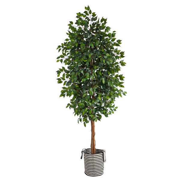 Primrue 96'' Faux Ficus Tree in Planter | Wayfair