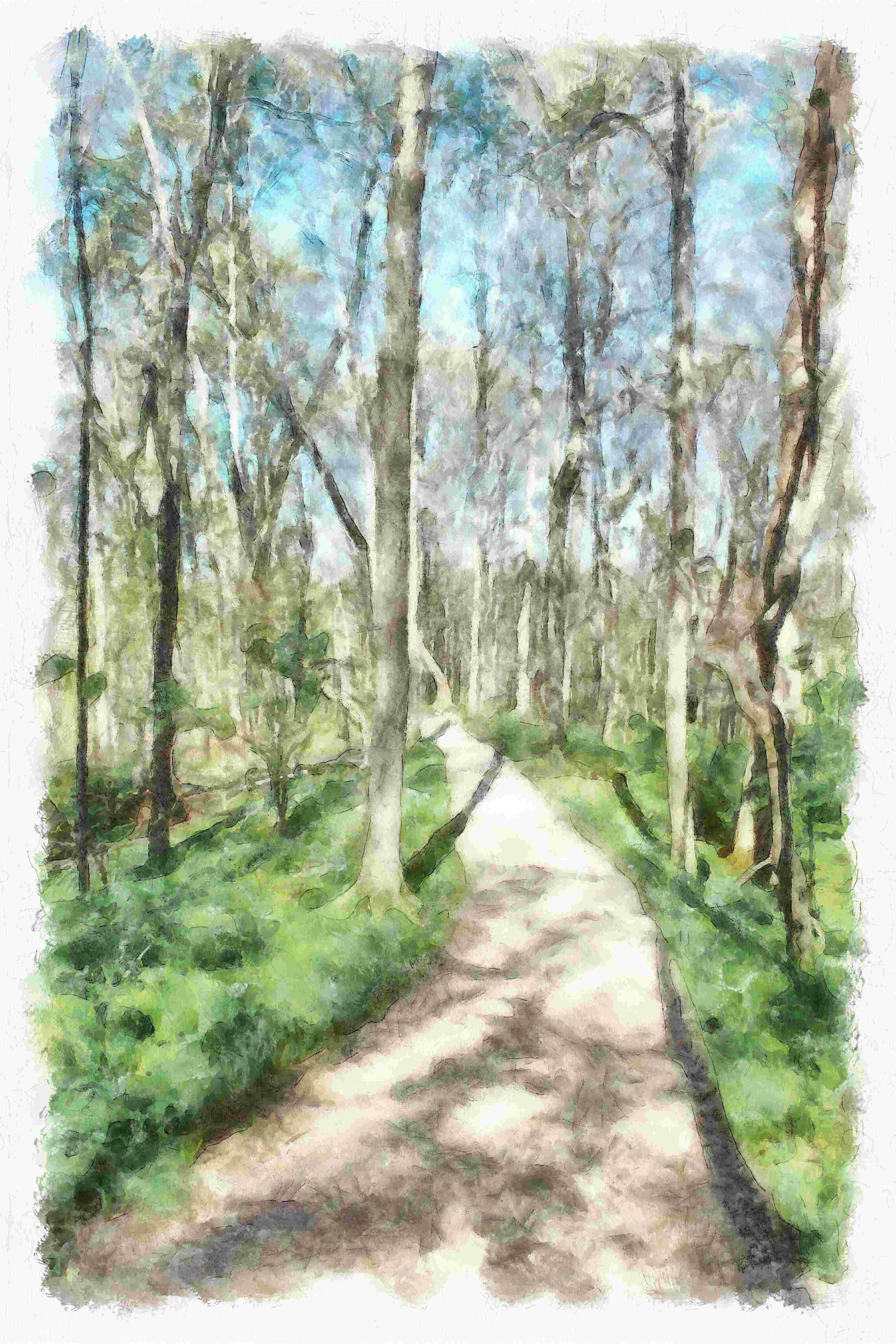 Winston Porter Watercolor Path Through The Trees - Wrapped Canvas ...