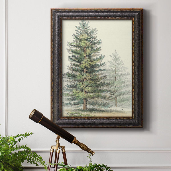 Millwood Pines Majestic Pine I Framed On Canvas Print | Wayfair