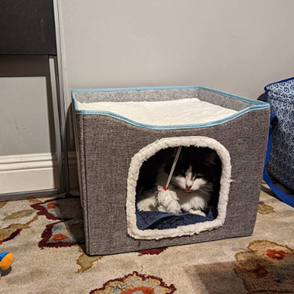 Tucker Murphy Pet™ Chabak Square Cat Bed | Wayfair