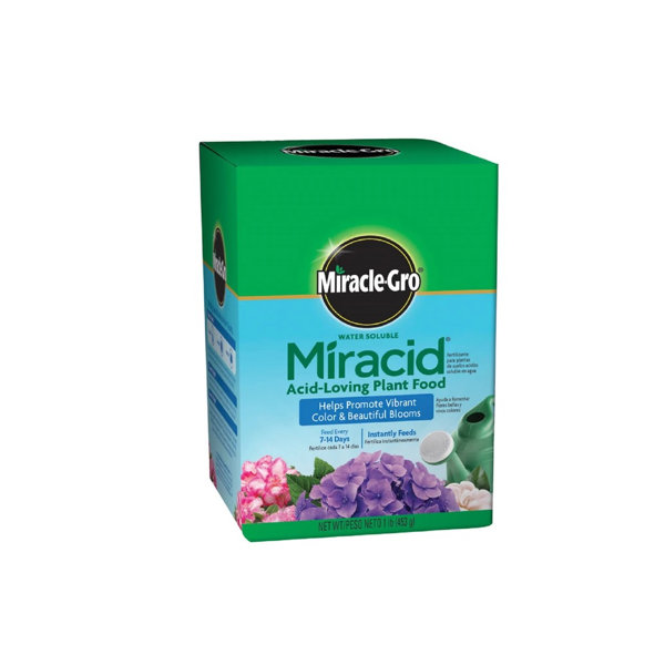 Miracle-Gro Miracid Powder Plant Food Growing Kit | Wayfair