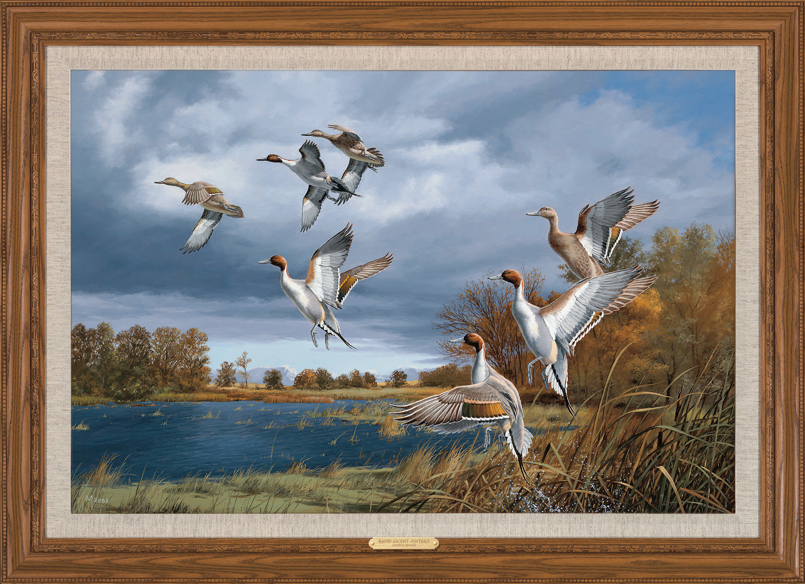 WildWings David Maass - Print on Canvas | Wayfair