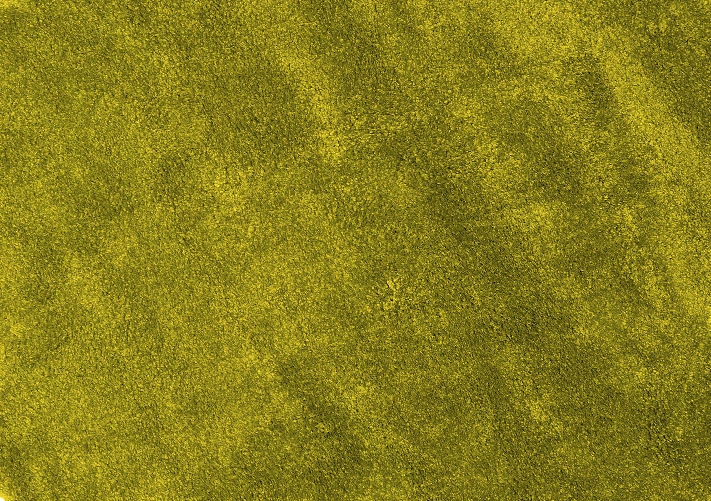 Latitude Run® Chartreuse Rug | Wayfair