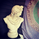 Design Toscano Apollo Belvedere Bust Statue & Reviews | Wayfair