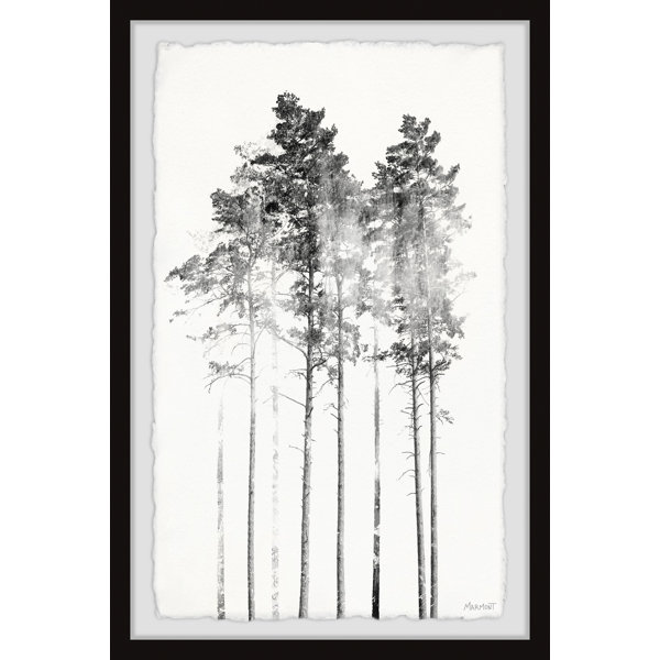 Winston Porter Misty Forest - Picture Frame Photograph | Wayfair