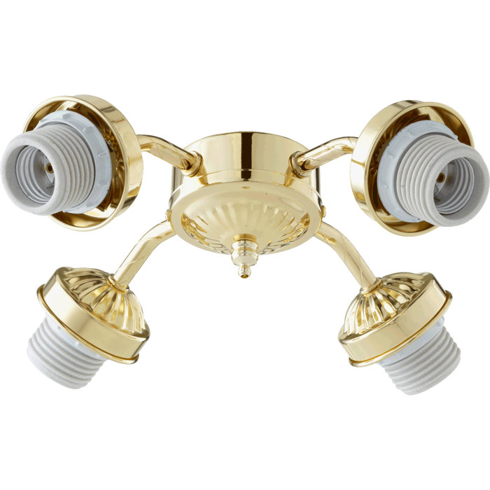 Darby Home Co 4-Light Ceiling Fan Light Fitter & Reviews | Wayfair