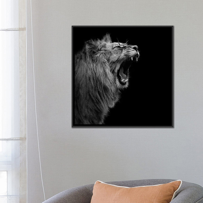 Bless international Lion I On Paper by Lukas Holas Photograph & Reviews ...