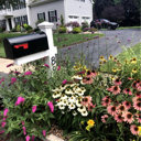 4EverProducts Lincoln Post Mounted Mailbox & Reviews | Wayfair