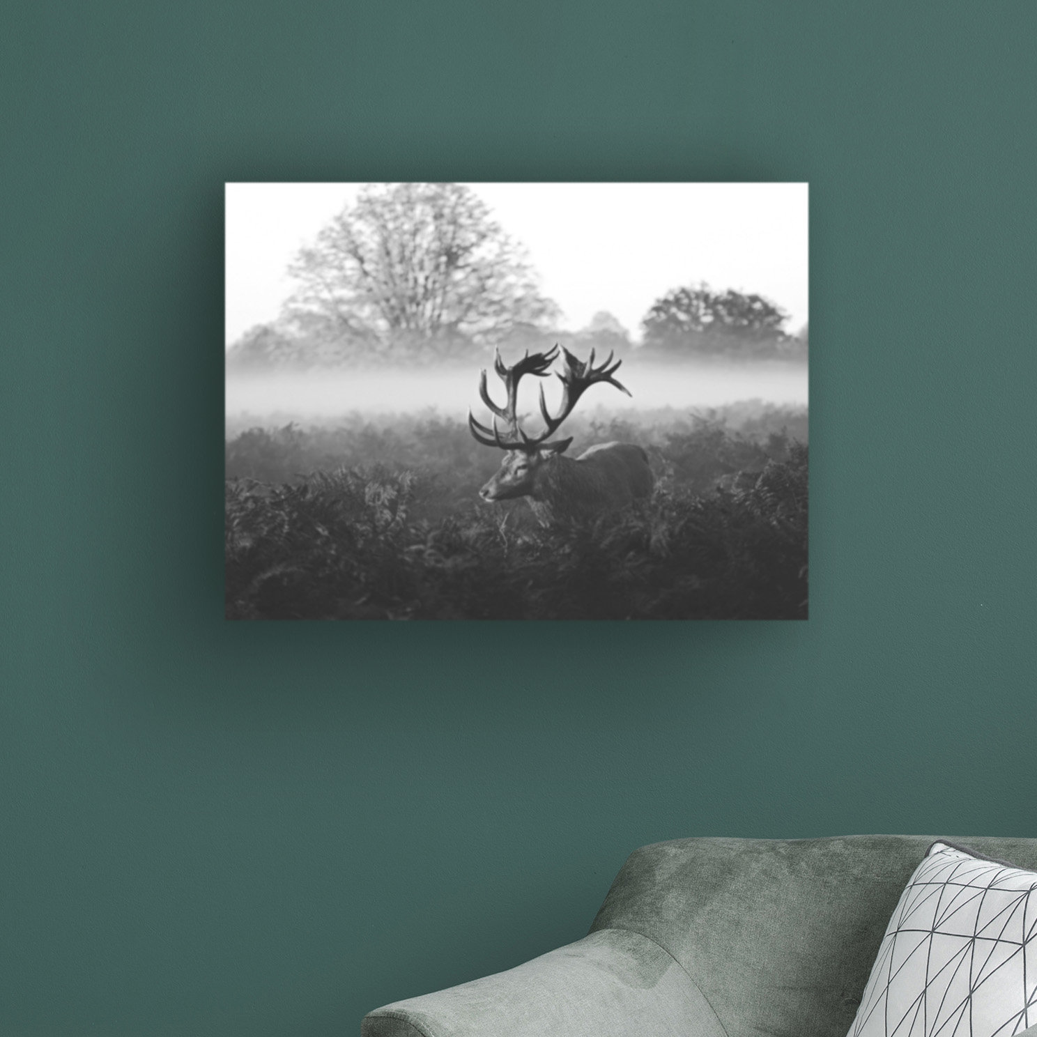 Millwood Pines Elk Stare by Robert Fabrowski - Wrapped Canvas ...