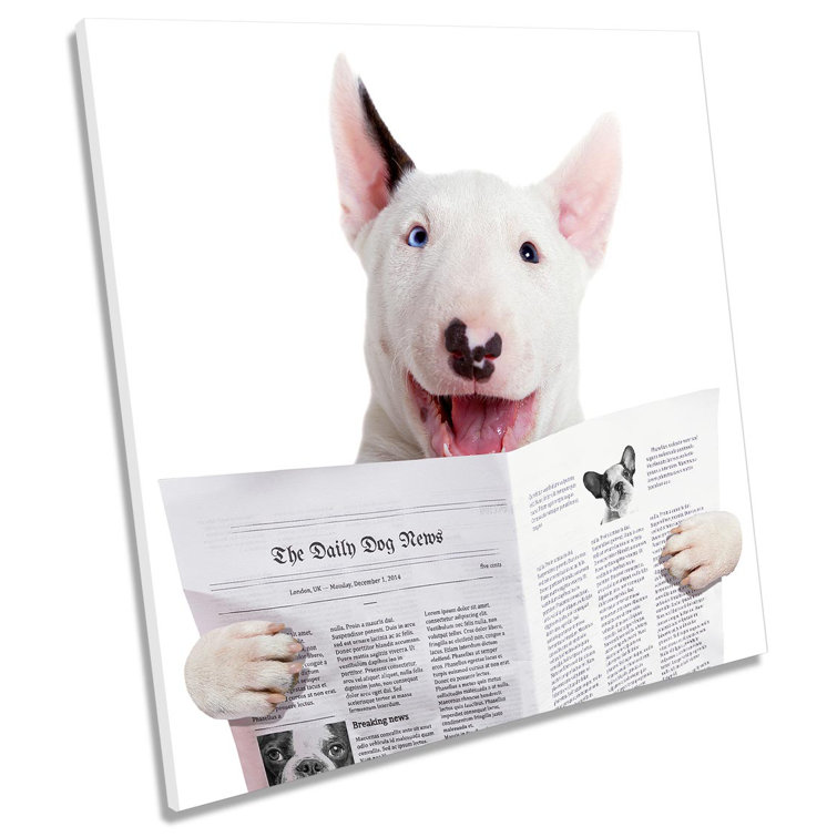 Maturi Funny Bull Terrier Dog Newspaper Picture CANVAS WALL ART Square ...