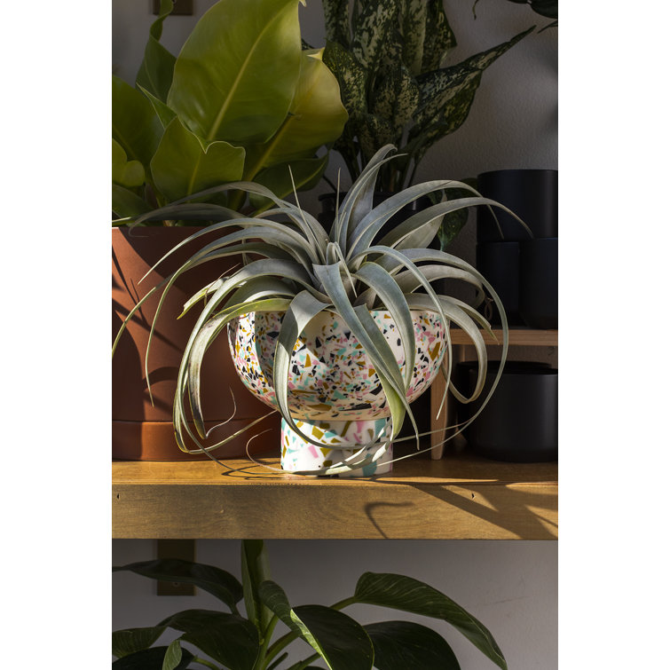 Wrought Studio Candess Handmade Table Vase | Wayfair