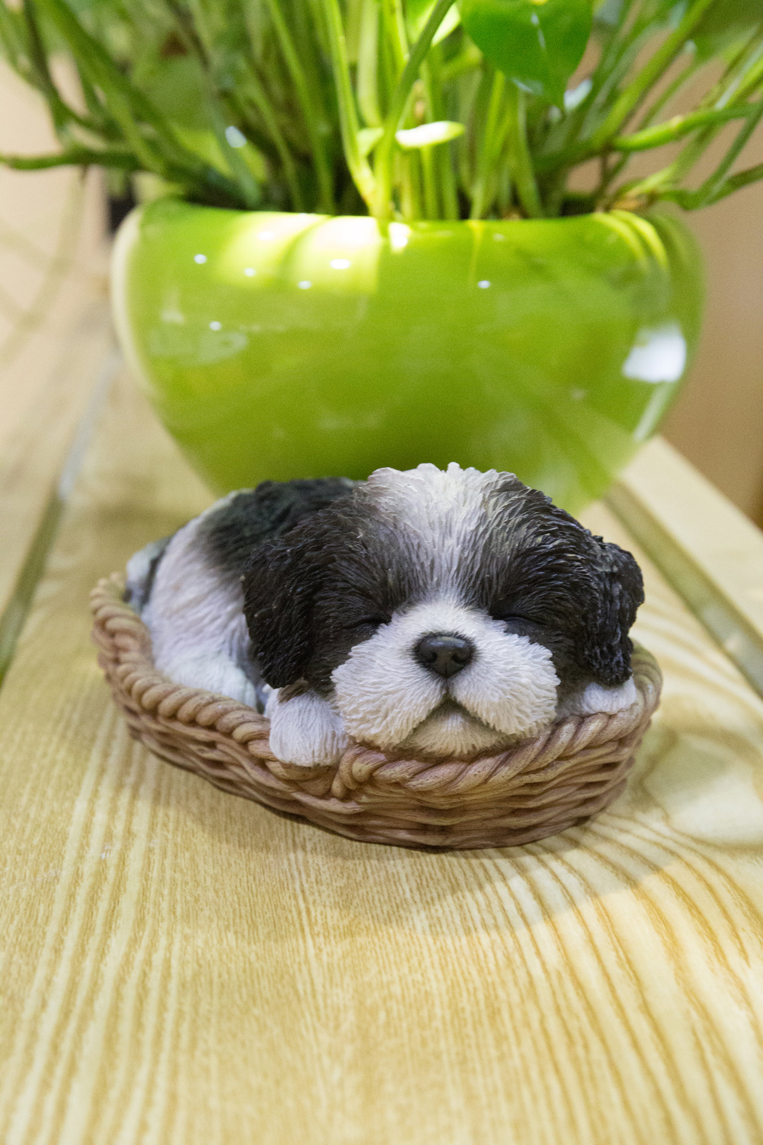 Hi-Line Gift Ltd. Wicker Basket Shih Tzu Puppy Statue & Reviews | Wayfair