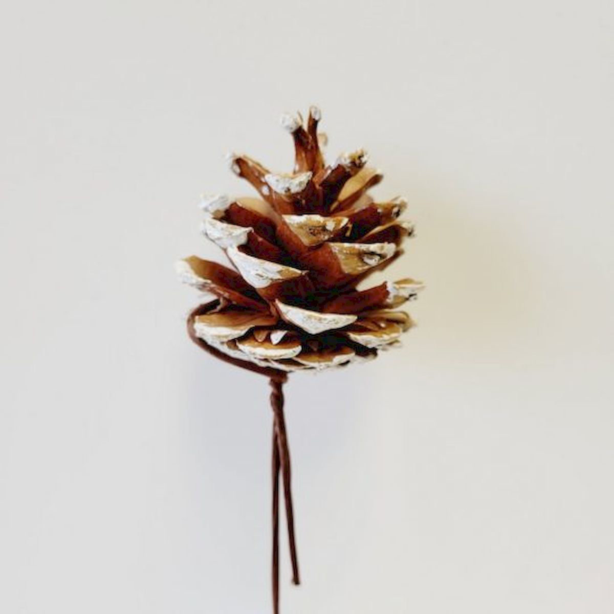 The Holiday Aisle® Pine Cone Pick | Wayfair
