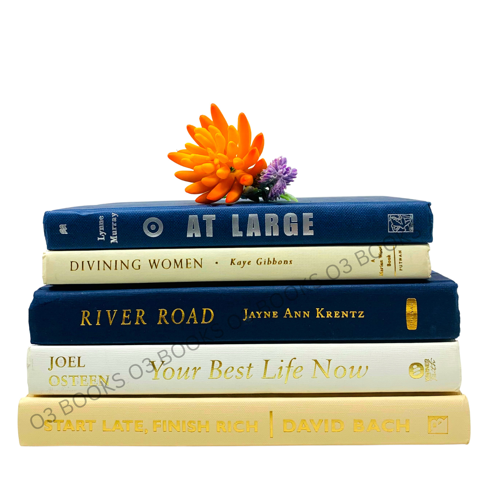 Latitude Run® Navy Ivory Beige White Decorative Books | Wayfair