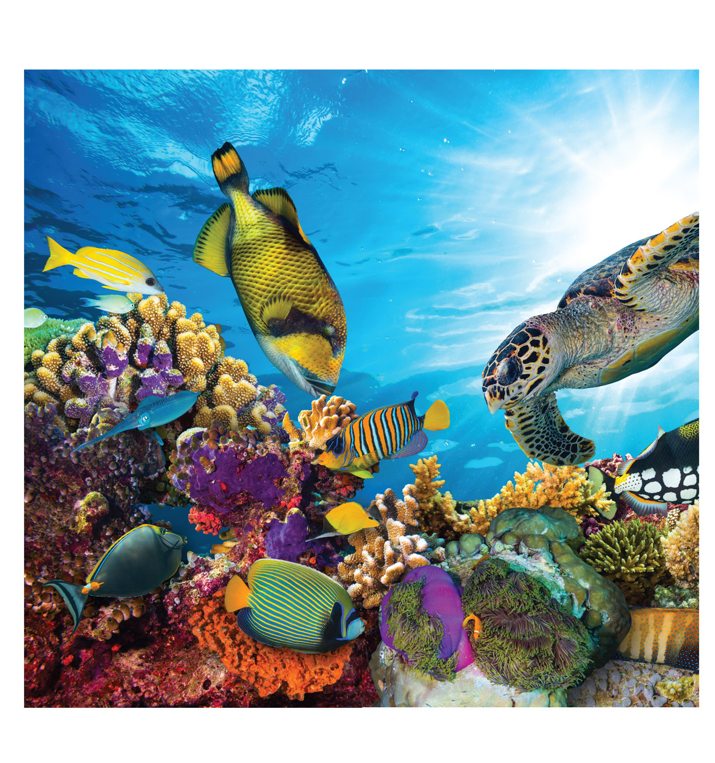 Advanced Graphics Coral Reef Backdrop Cardboard Standup | Wayfair