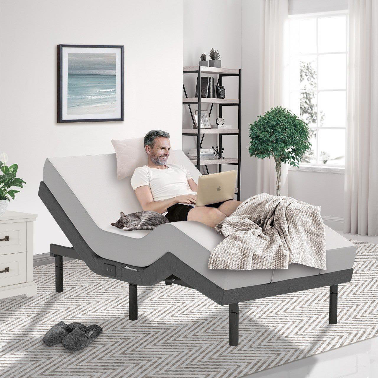 Alwyn Home Lamantia Twin XL Adjustable Bed Frame with Mattress, Dual ...