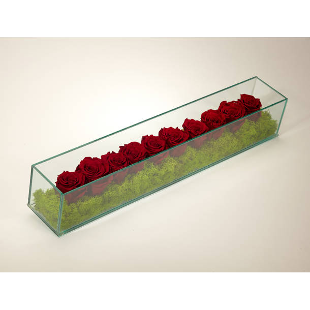 T&C Floral Company Preserved Roses in Rectangular Glass Box & Reviews ...