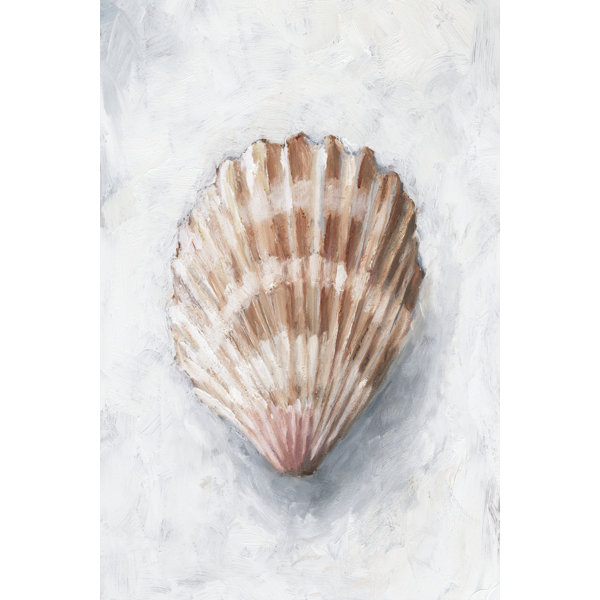 Rosecliff Heights White Shell Study IV On Canvas by Ethan Harper ...