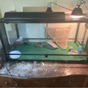 REPTIZOO 40 Gallon Terrarium & Reviews | Wayfair