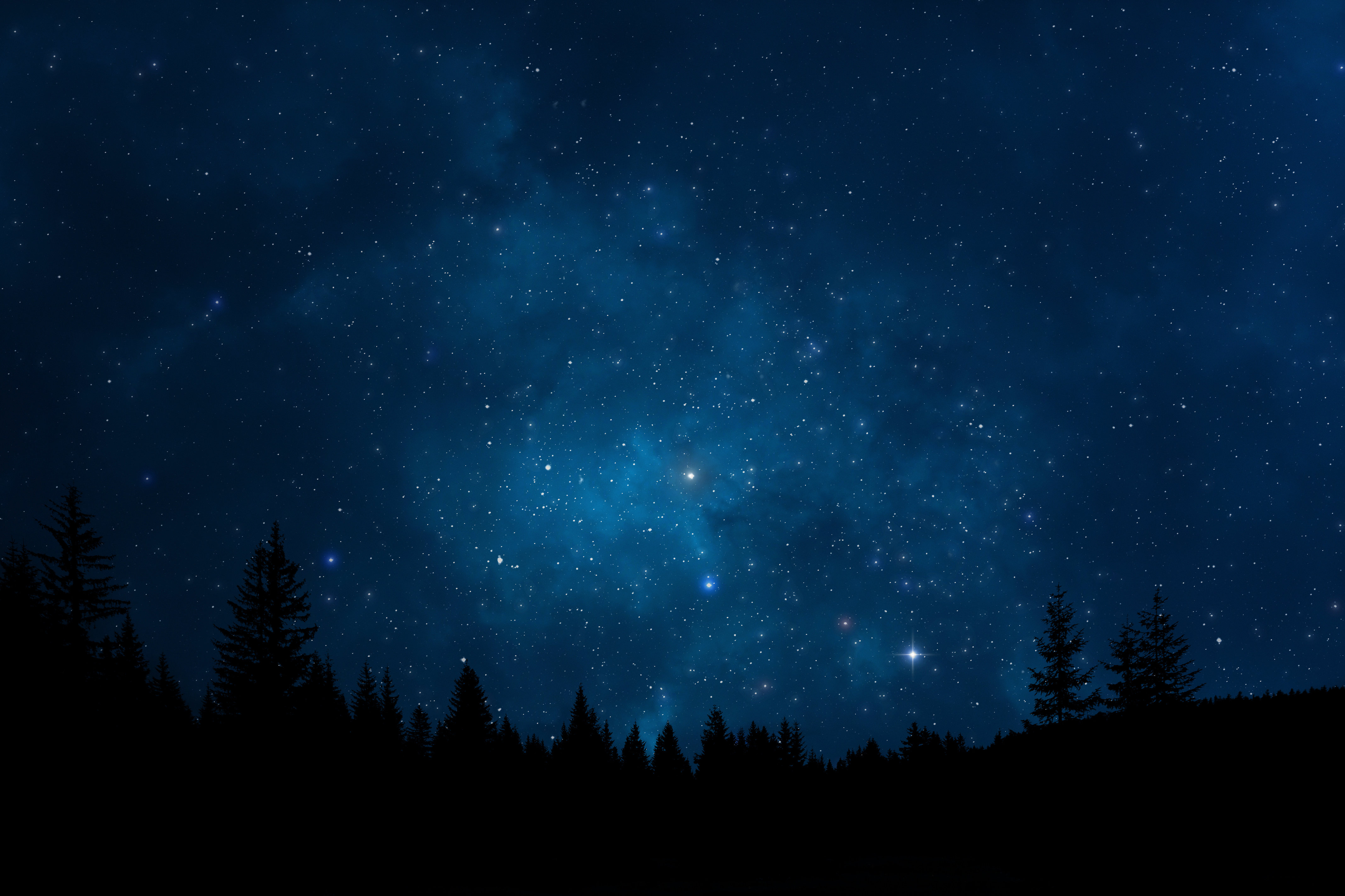 Millwood Pines Night Sky Landscape On Canvas by Pixelparticle ...