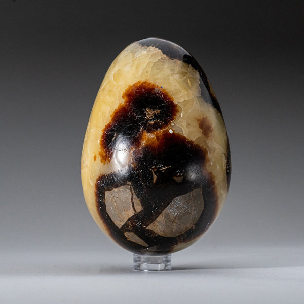 Astro Gallery of Gems Genuine Polished Septarian (3") Egg from ...