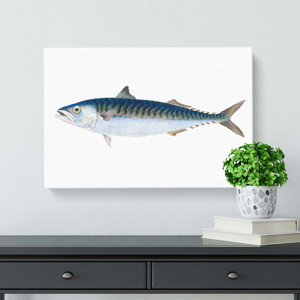 Mackerel Print | Wayfair.co.uk