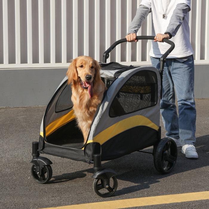 BingoPaw Folding Standard Stroller & Reviews | Wayfair