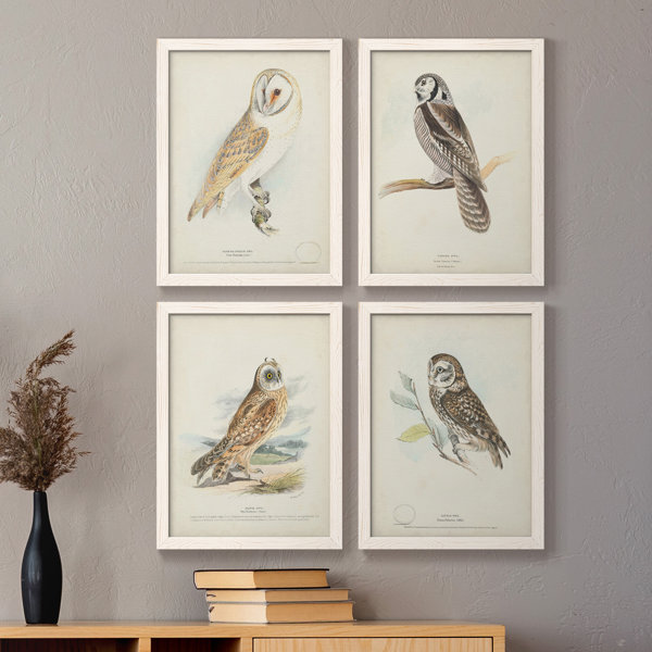 Loon Peak® Barn Owl - 4 Piece Picture Frame Print on Canvas | Wayfair