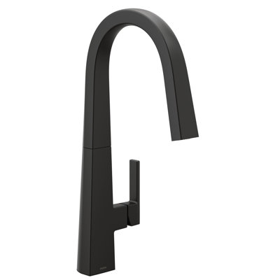 Moen Nio Pull Down Single Handle Kitchen Faucet With Accessories ...
