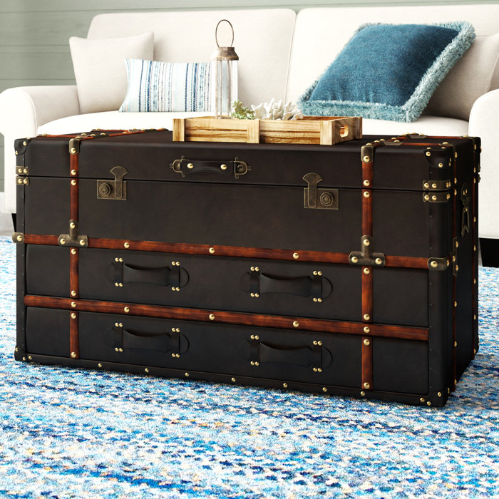 Steelside™ Isabel Vintage Trunk & Reviews | Wayfair