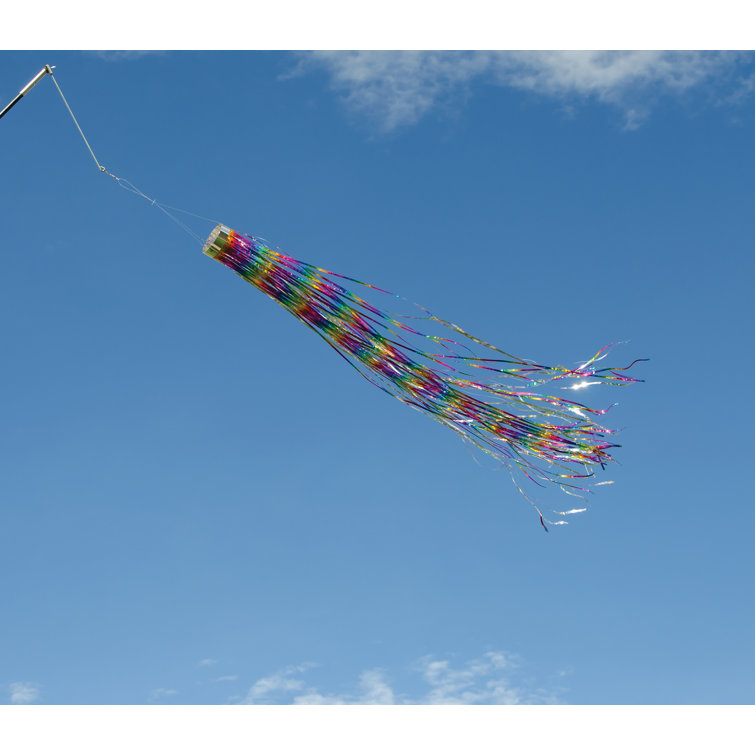 Arlmont & Co. Holographic Mylar Windsock | Wayfair