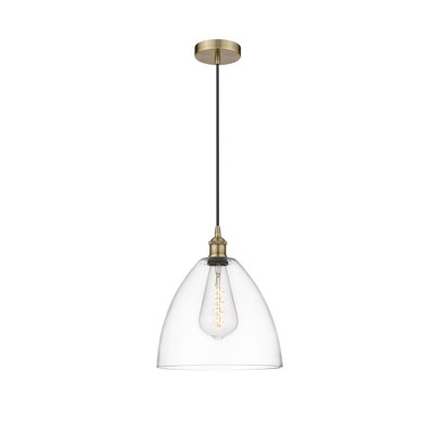 Breakwater Bay Bluford 1 - Light Single Drop Pendant Pendant | Wayfair