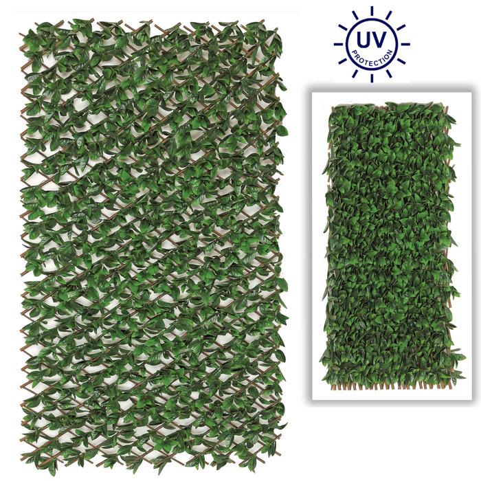 ESEssentials 3.5 ft. H x 6.5 ft. W Beach Leaf Accordion Expandable Wall ...