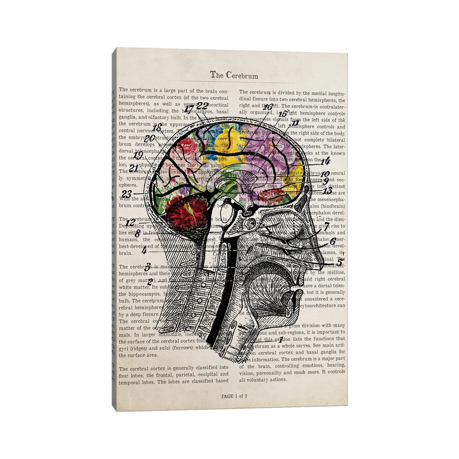 East Urban Home Brain Flower Collage Anatomy Print - Wrapped Canvas ...
