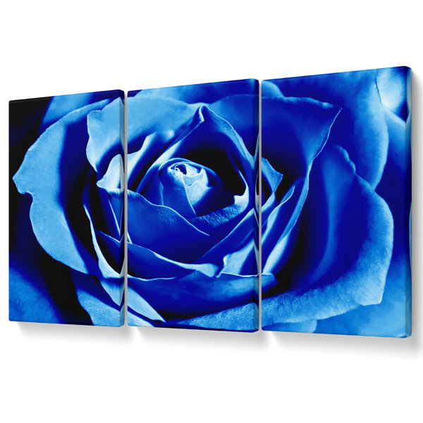 Canora Grey Blue Rose Petals - 3 Piece Wrapped Canvas Graphic Art ...