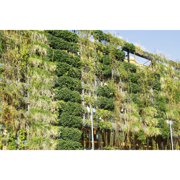 Ebern Designs Lakissa Green Wall - Wrapped Canvas Photograph | Wayfair