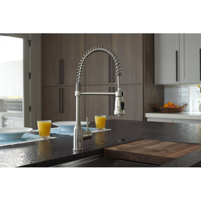 Pacific Bay Rainier Pull Down Kitchen Faucet & Reviews | Wayfair