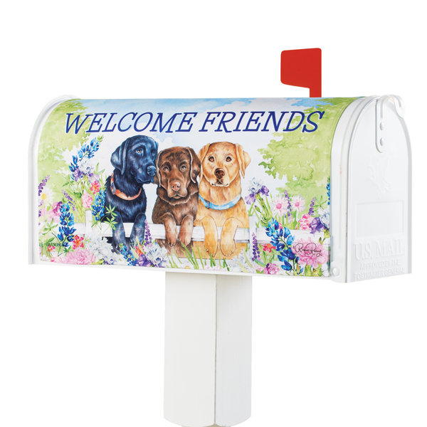 66916 | Wayfair