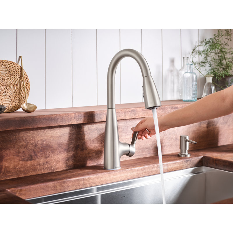 Moen Haelyn Single-Handle Pull-Down Sprayer Kitchen Faucet with Reflex ...