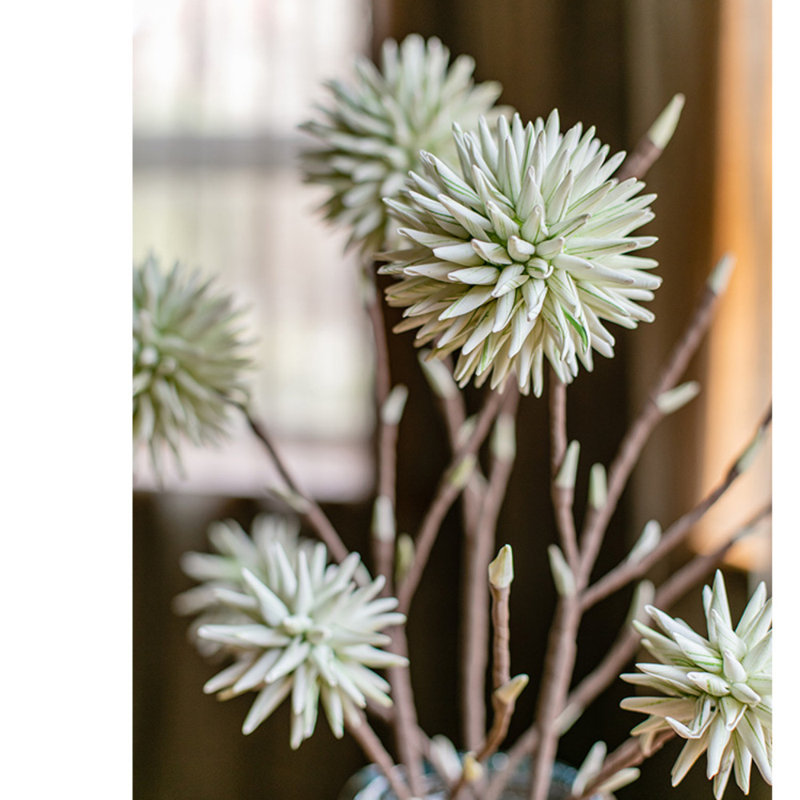 Primrue Round Ball Stems | Wayfair