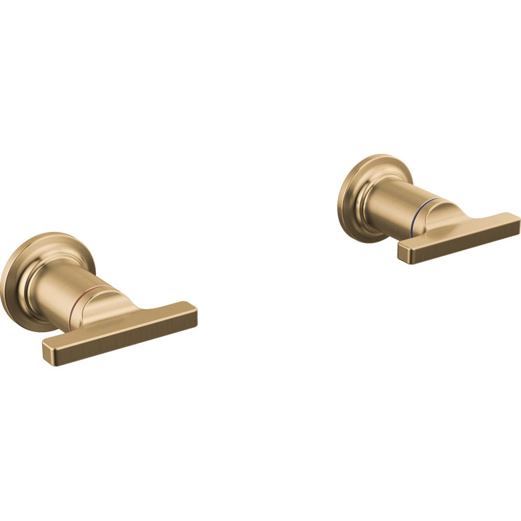 Delta Tetra Wall Mount Tub Filler T-Lever Handle Set | Wayfair