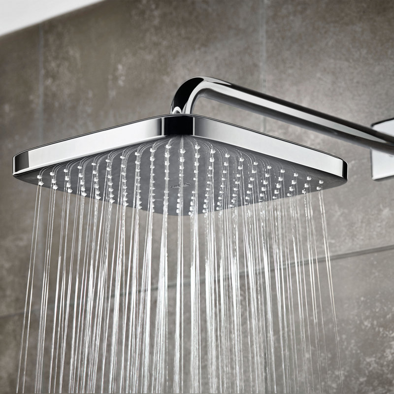GROHE Tempesta Rain Adjustable Shower Head with DreamSpray & Reviews ...