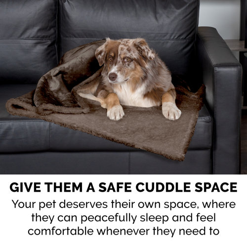 FurHaven Snuggly & Warm Soft-Edge Warming Waterproof Blanket | Wayfair